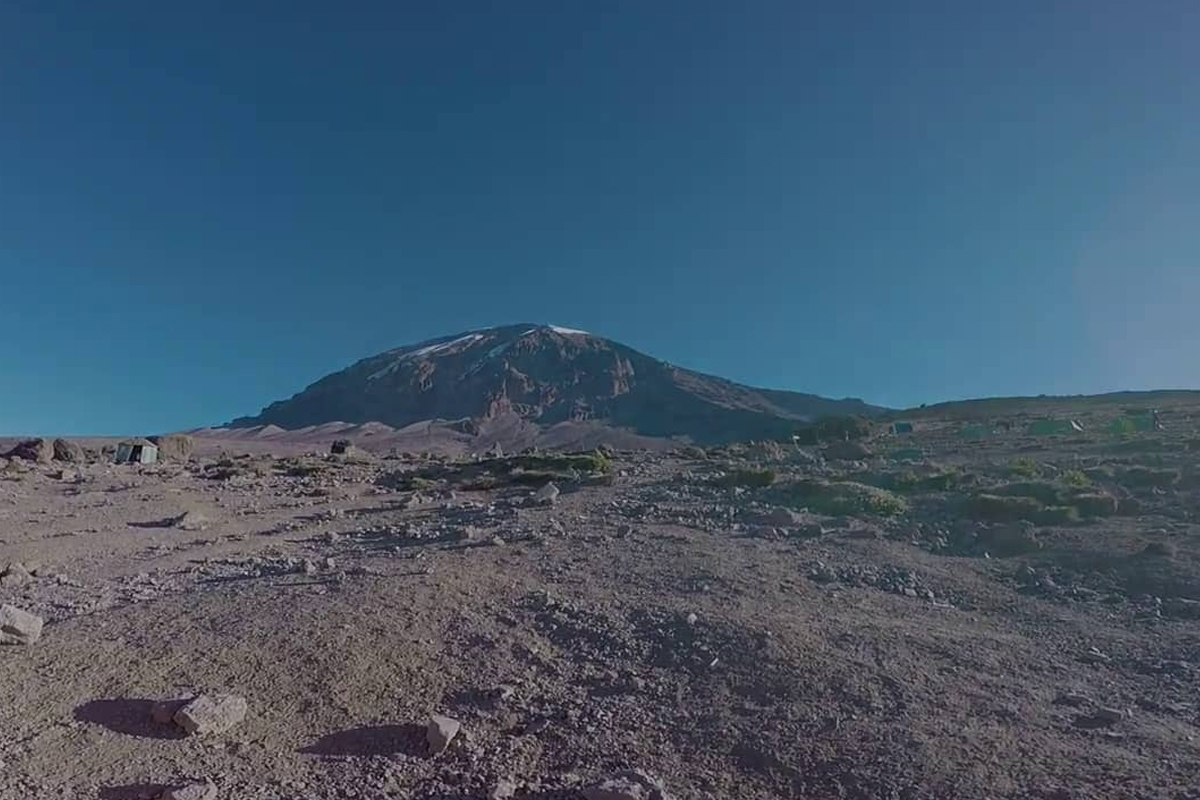 What is the success rate for reaching the summit of Kilimanjaro ...