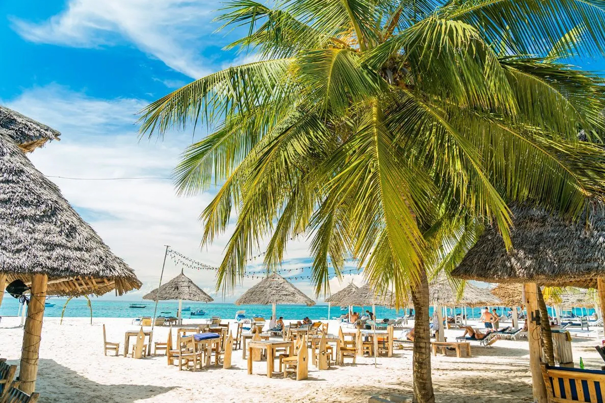 The Best Beachfront Dining Spots in Zanzibar | Lappet Faced Safaris