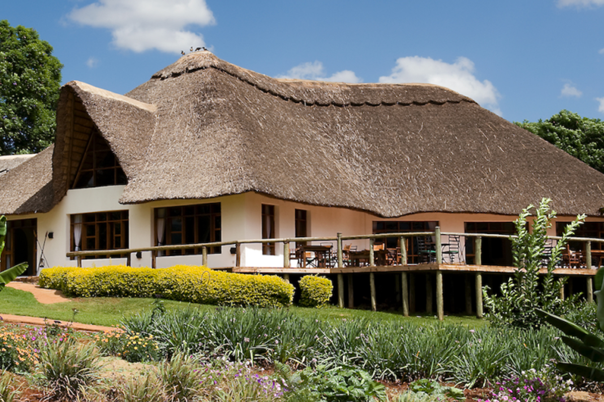 Mikumi Safari Lodge – Your Gateway to Adventure in Mikumi National Park