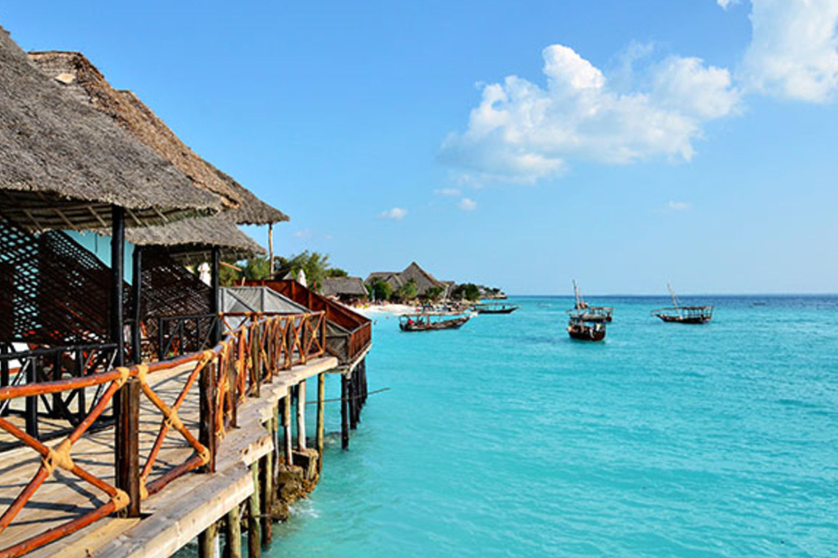 Zanzibar’s Tourism Boom: A British Expat’s Success Story | Lappet Faced ...